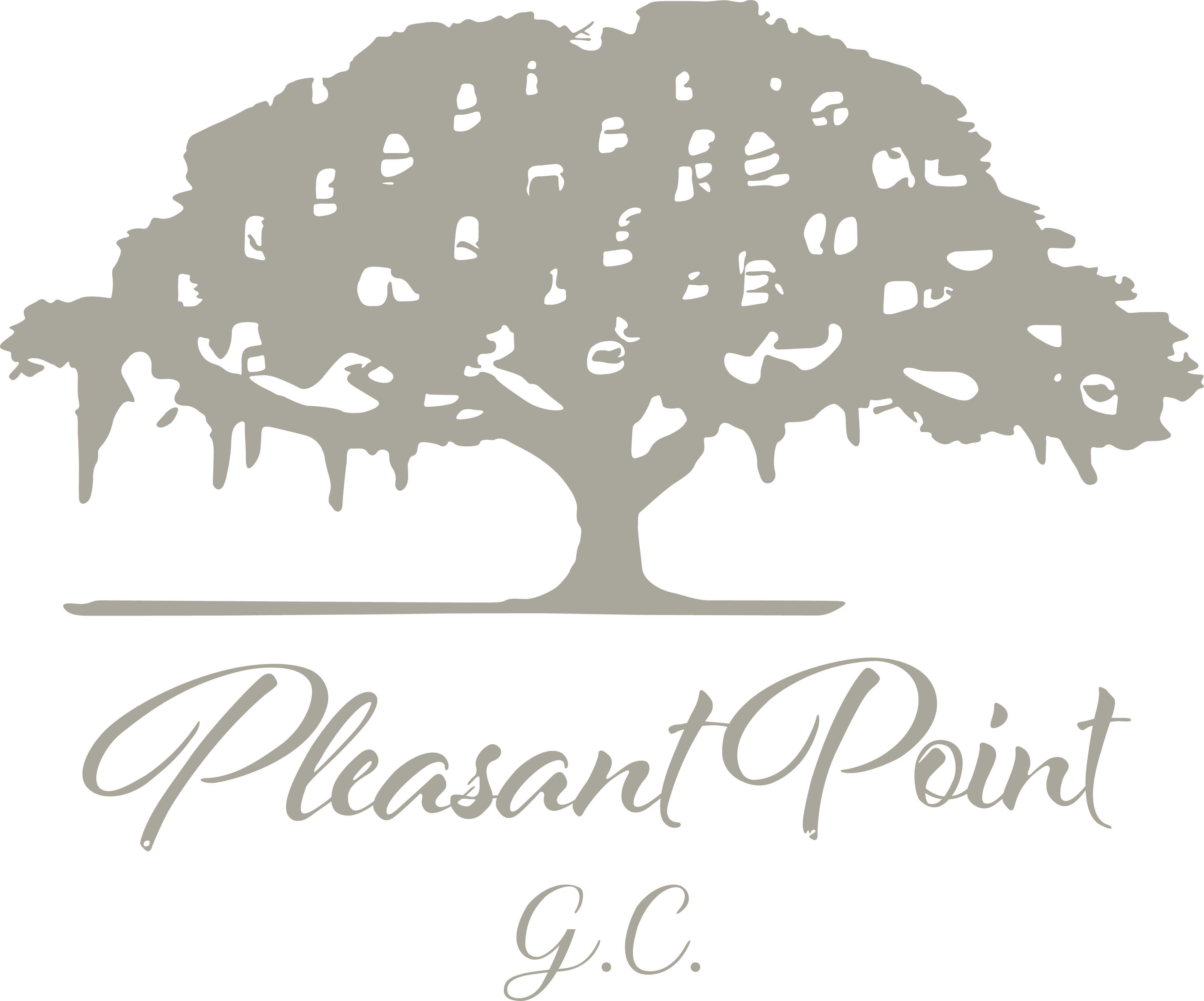 Homepage - Pleasant Point Golf Course